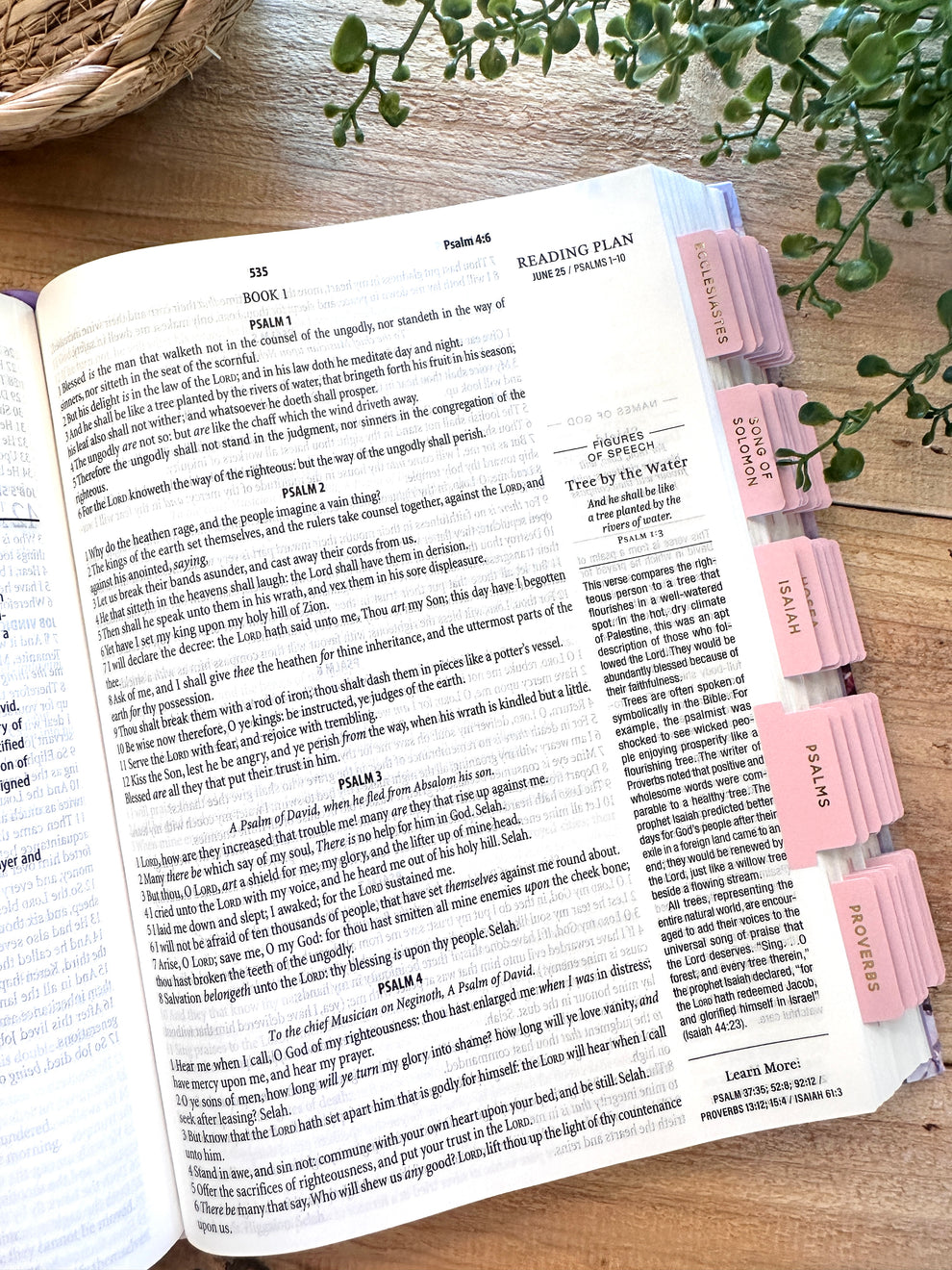 KJV 1-Minute Study Bible – Jonesmann